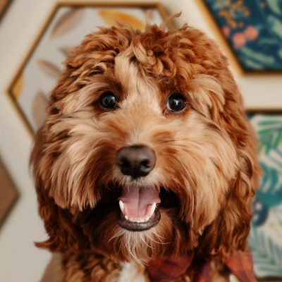 Chicago Eating Disorder Treatment